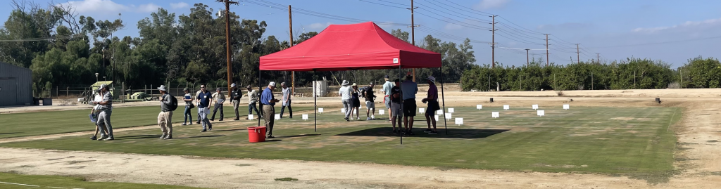 Field Day Research Highlights: Localized Dry Spot, Salinity Management ...