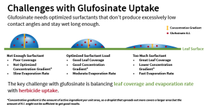 Preparing For Glufosinate And 2,4-D Applications