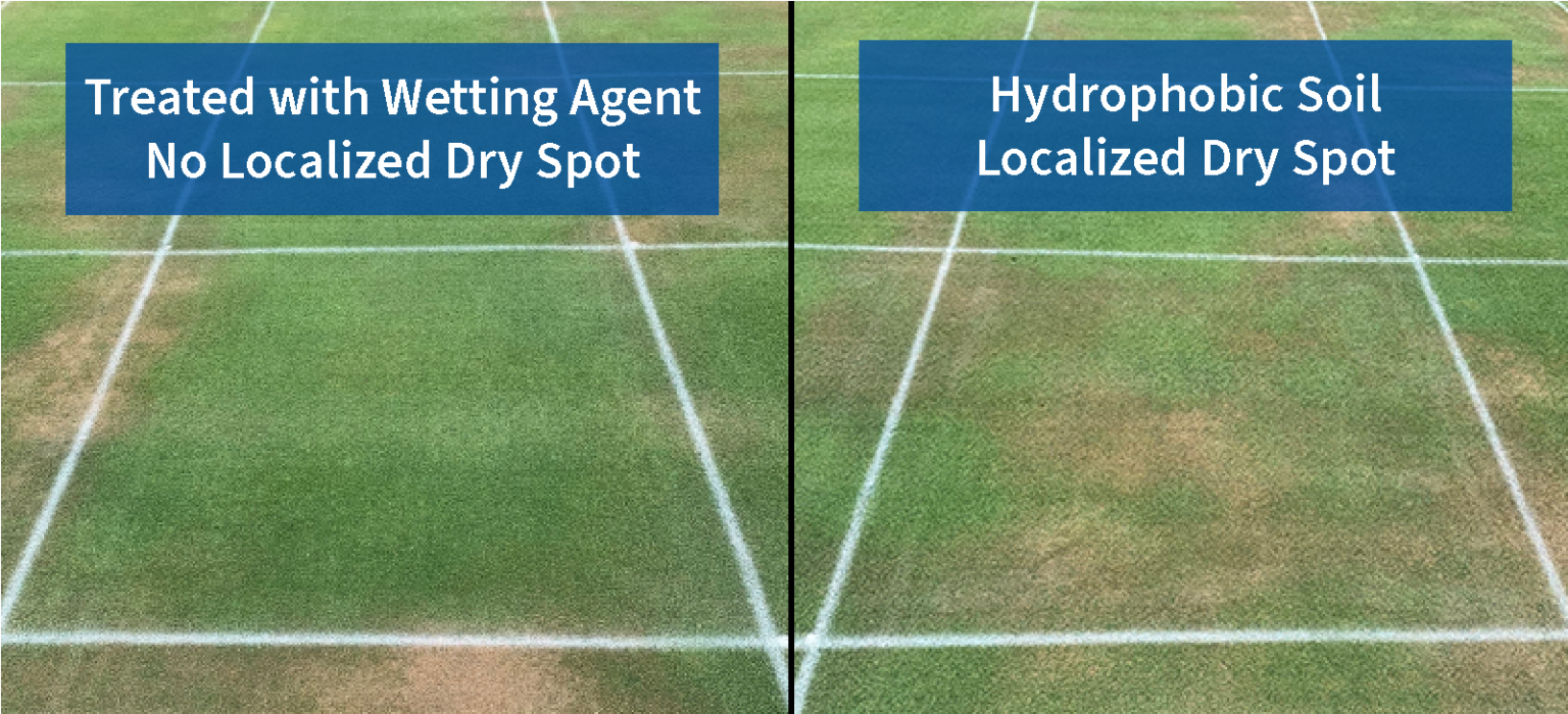 How Ecology Influences Turfgrass Management