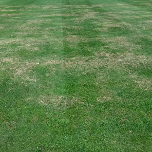 Explore Exacto's Research at the O.J. Noer Turfgrass Facility