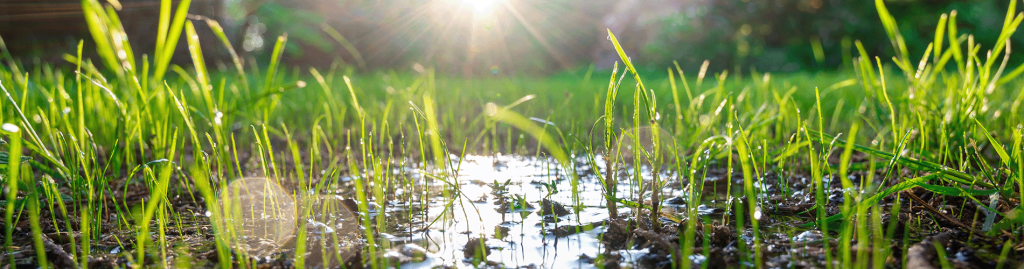 Is This Essential Ingredient in Your Turf Tank Mix?