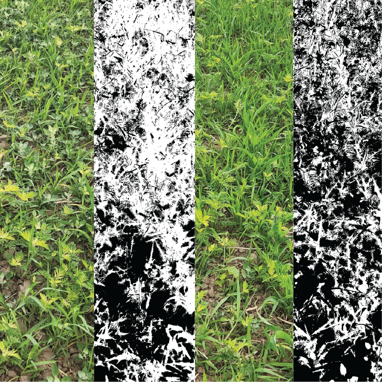Is Herbicide Resistance the Only Cause of Poor Weed Control?