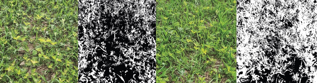 Is Herbicide Resistance the Only Cause of Poor Weed Control?